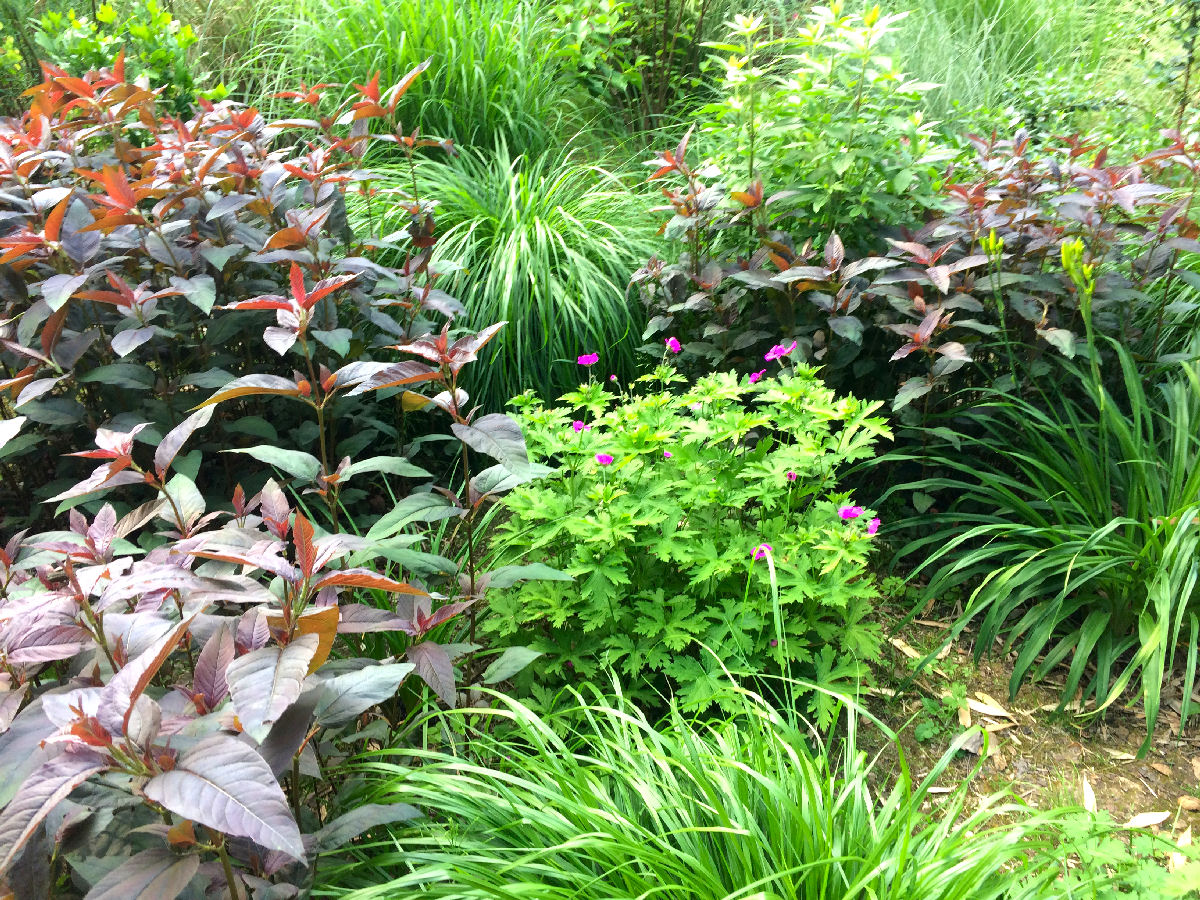 Galerie photos – Jardin de Planbuisson